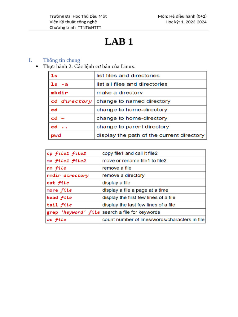 Lab 1- Cac Lenh Co Ban Cua Linux (1) | PDF