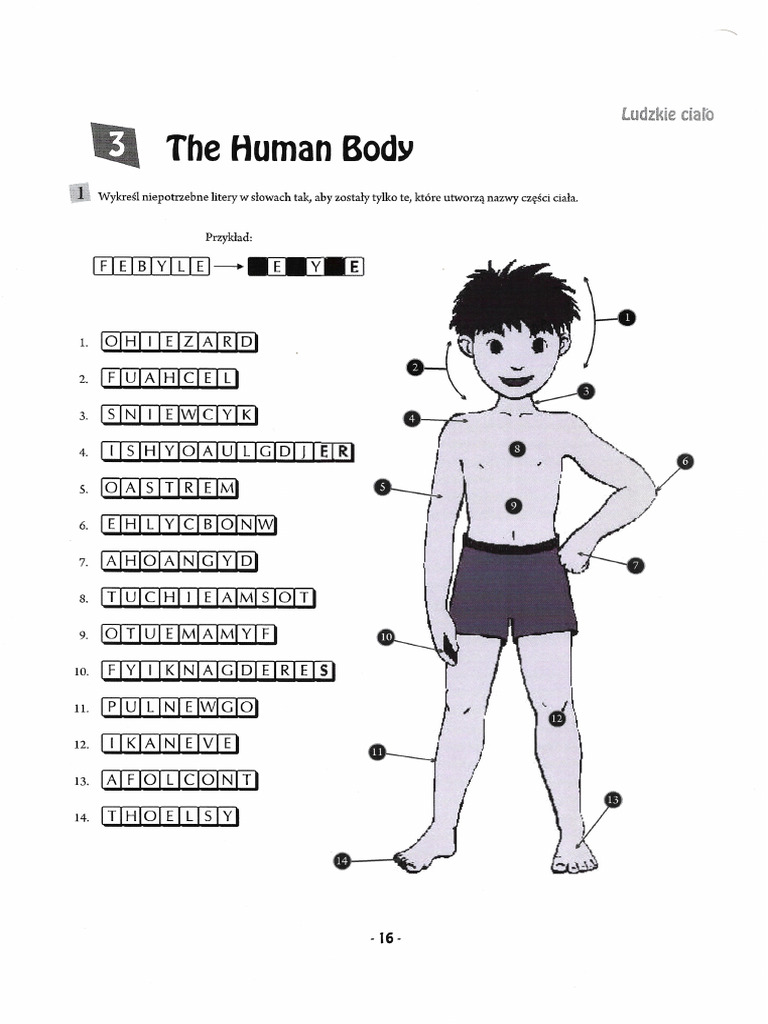 The Human Body 1 | PDF