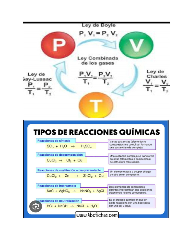 Impresiones Lenny | PDF