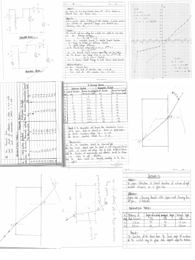 Microcopies For Class 12th Practical | PDF
