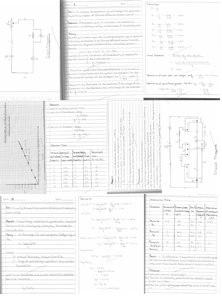Microcopies For Class 12th Practical | PDF