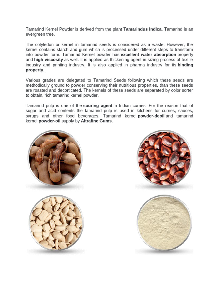 Tamarind Kernel Powder Is Derived From The Plant | PDF | Seed