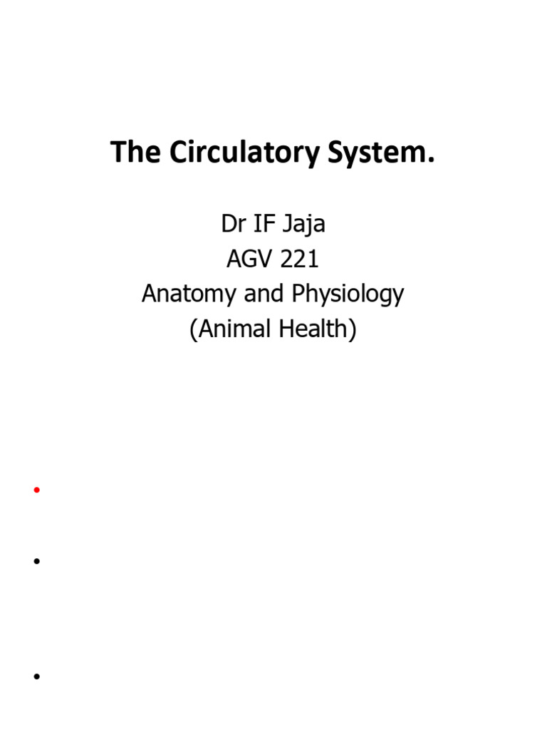 Circulatory System Revised | PDF | Heart Valve | Diastole