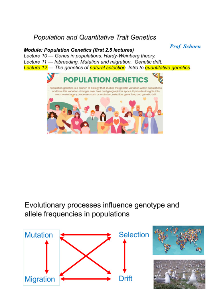 Lecture 12 (202-2024) Annotated | PDF | Quantitative Trait Locus | Fitness (Biology)