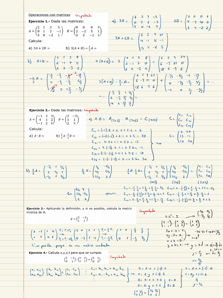 Ficha Matrices Ejercicios v4 | PDF