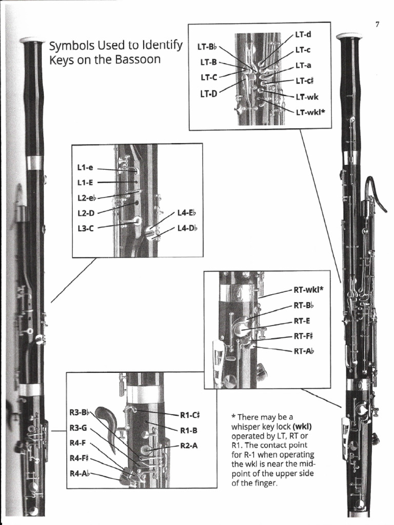 Bassoon Key Names | PDF