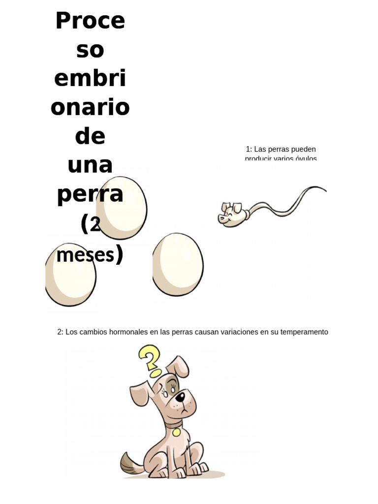 Desarrollo embrionario de perros | PDF