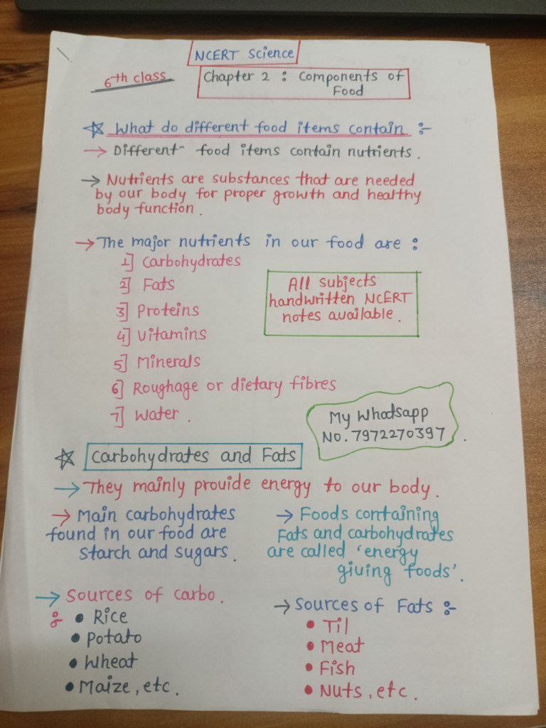 Science 6th Class | PDF