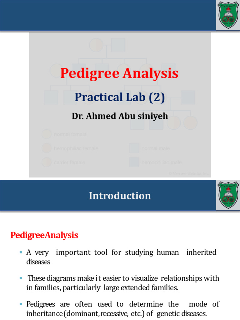 2 - Pedigree Analysis Lab | PDF | Dominance (Genetics) | Genotype