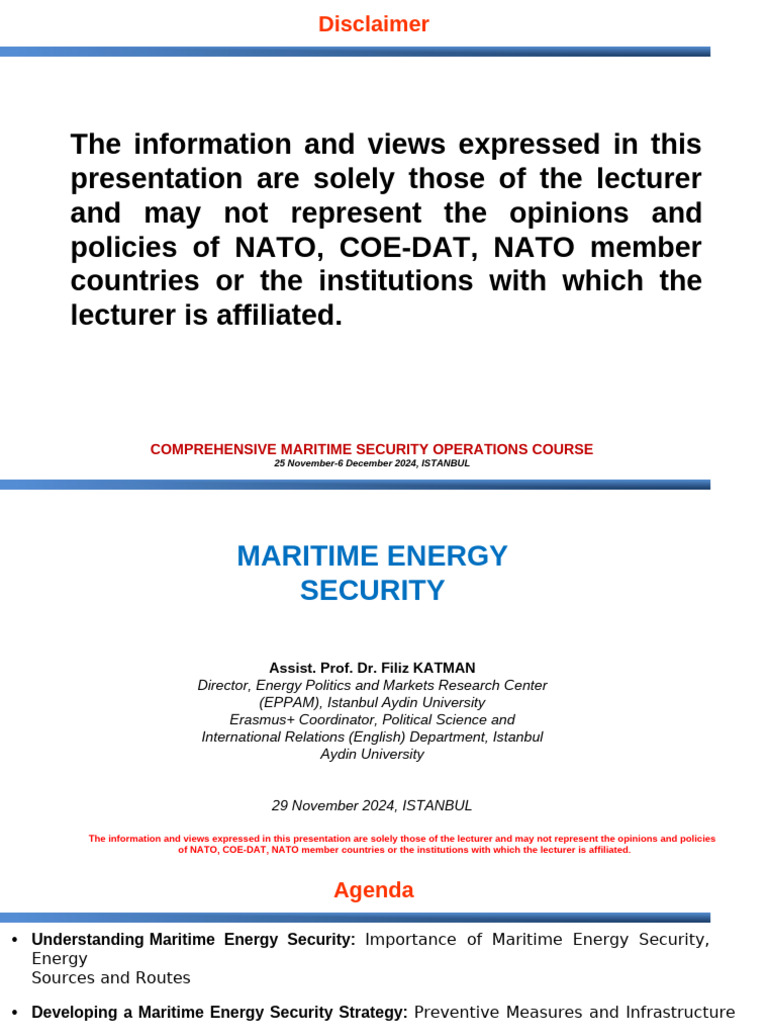 5-1_MARITIME ENERGY SECURITY_DR. FİLİZ KATMAN | PDF | Nato | Infrastructure