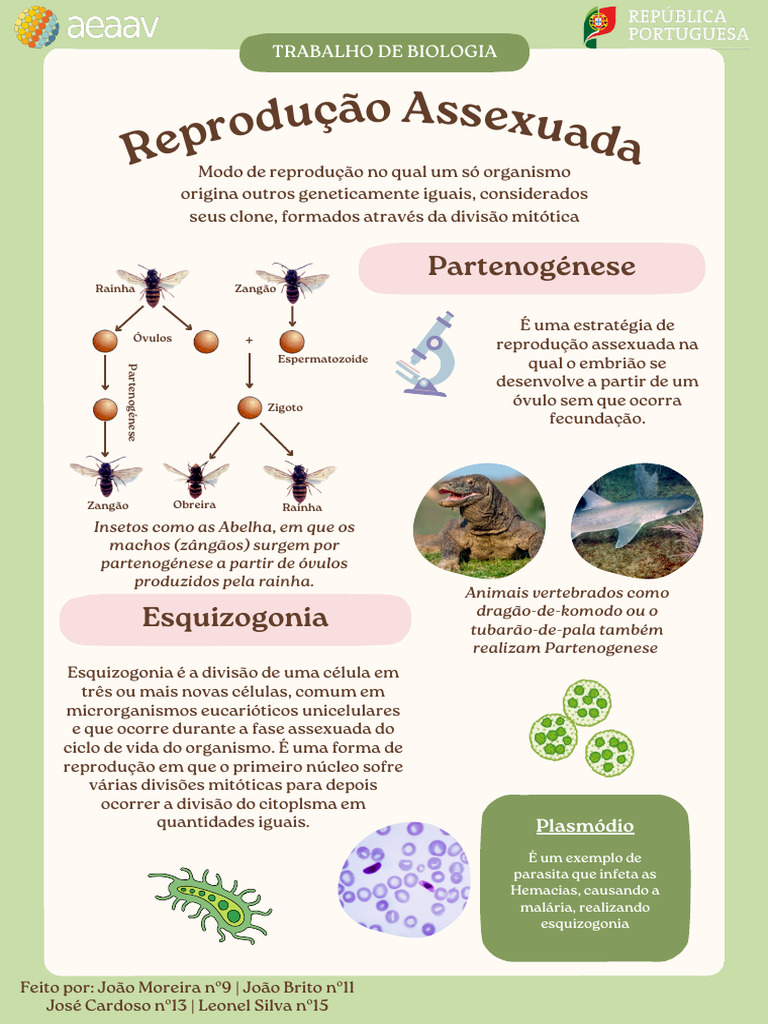 Reprodução Assexuada Partenogénese e Esquizogonia | PDF | Reprodução ...