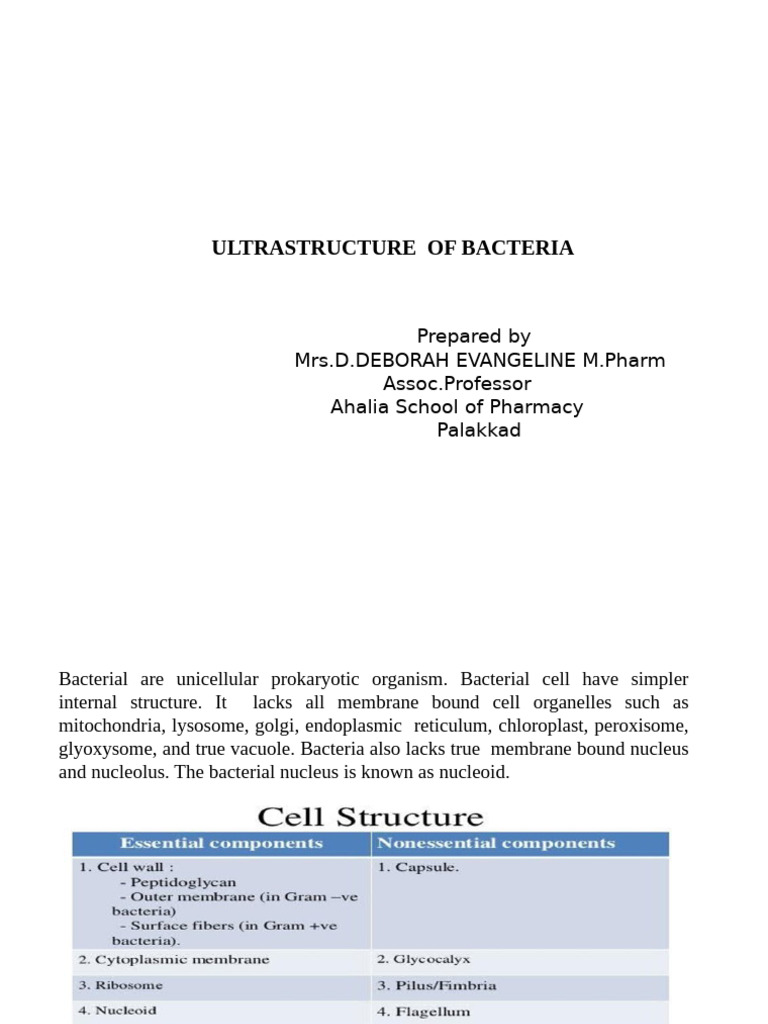 Bacterial Cell Structure and Wall Composition | PDF | Cell (Biology ...