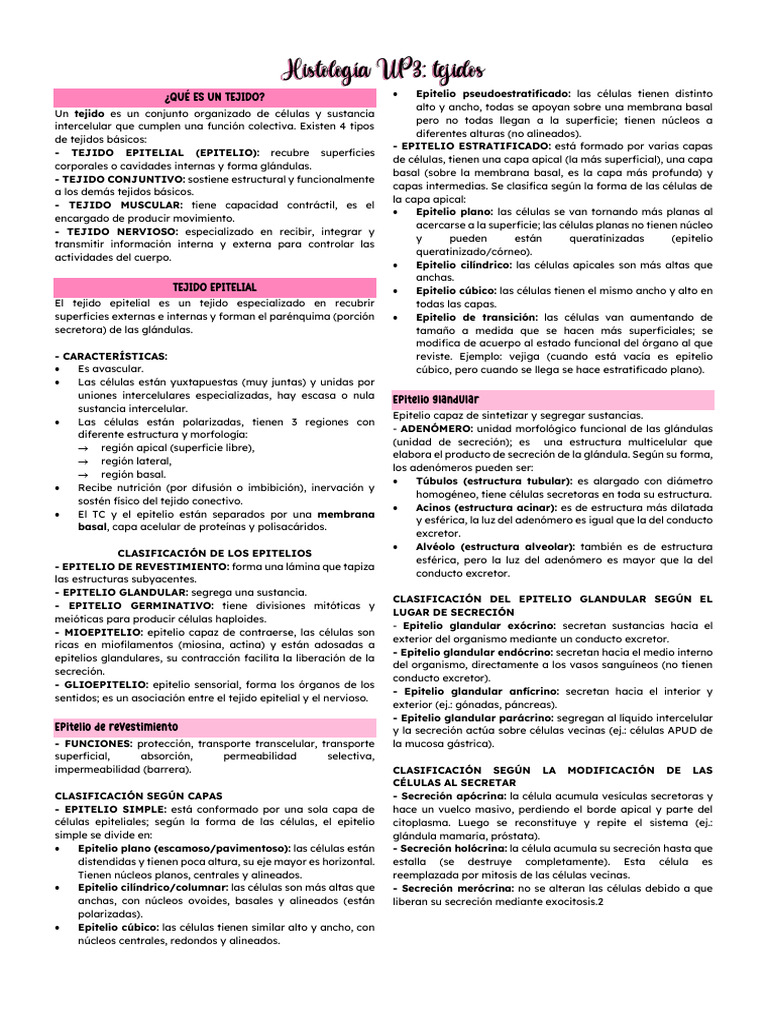 CyD UP3 - Hepatocito - Med | PDF | Epitelio | Difusión