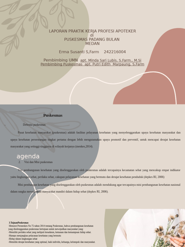 Pkpa Puskesmas Erma | PDF