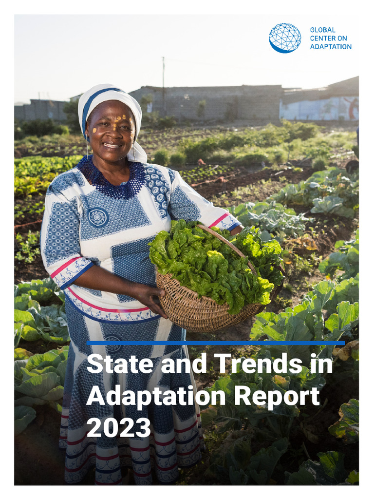 2023 - State and Trend in Adaptation Report | PDF | Climate Change ...
