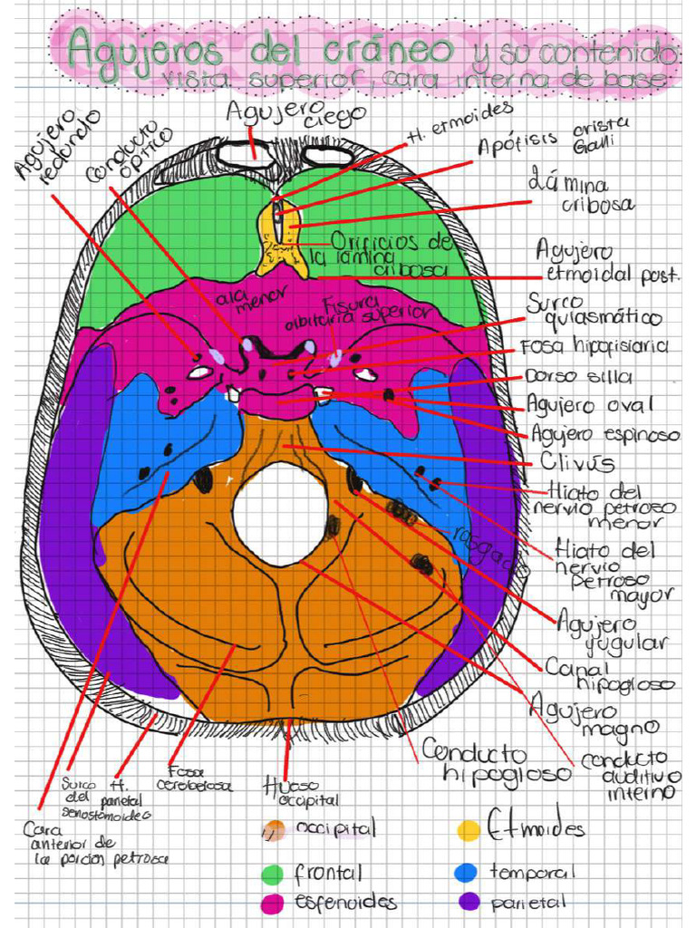 Huerta Silva Alexa Stephanie. Grupo 1303 | PDF