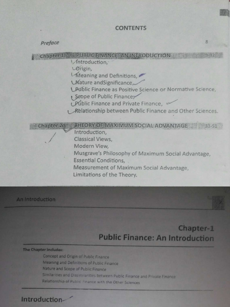 Public Finance | PDF