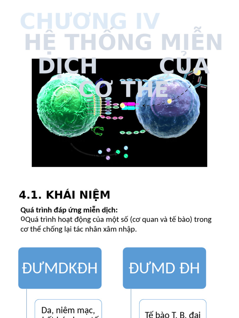 CHƯƠNG 4 HỆ THỐNG MIỄN DỊCH CỦA CƠ THỂ | PDF
