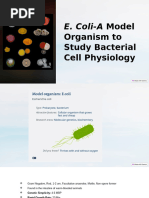 Bacteria Cell Diagram Labeled - Google Search | PDF