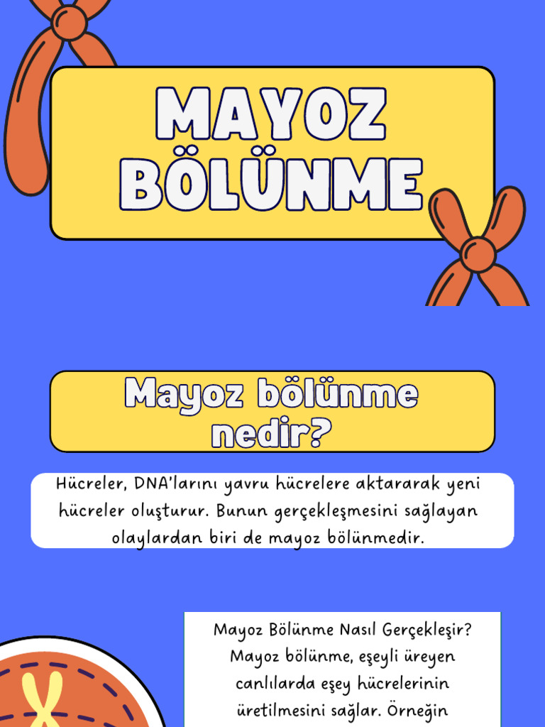 Mayoz Bölünme.pdf | PDF
