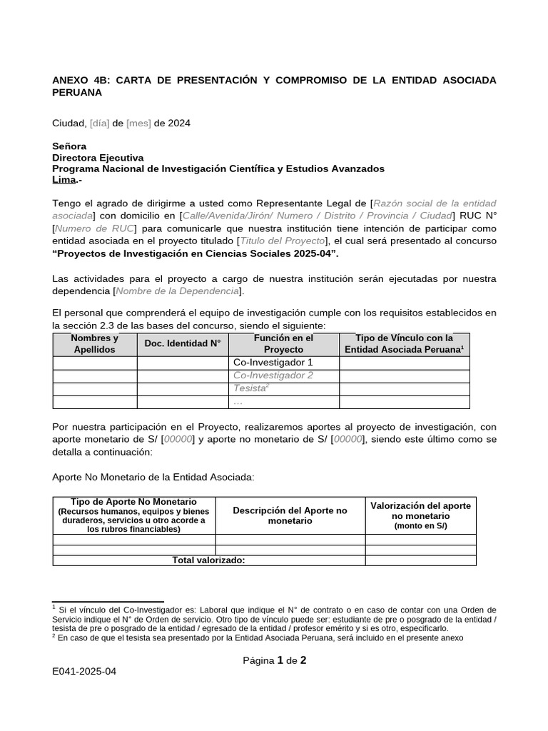 Anexo4B PICCSS-2025 | PDF