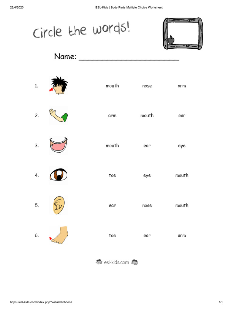 Body Parts Multiple Choice Worksheet | PDF