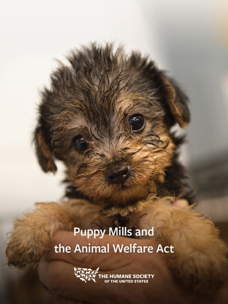 puppy-mills-awa-booklet-lores_0 | PDF | Animal Welfare | Dogs