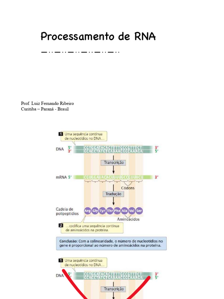 Processamento de RNA | PDF