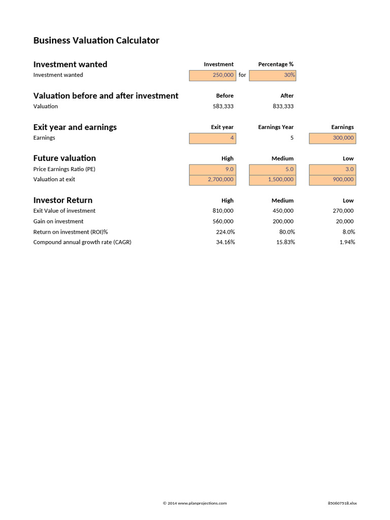 Business Valuation Calculator V 1.0 | PDF