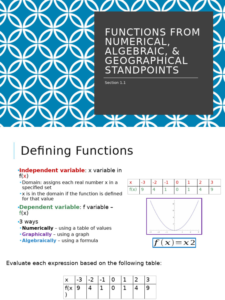 Section 1.1 Functions | PDF
