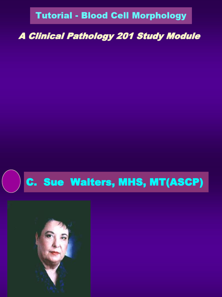 Blood Cell Morphology Tutorial | PDF | Granulocyte | White Blood Cell