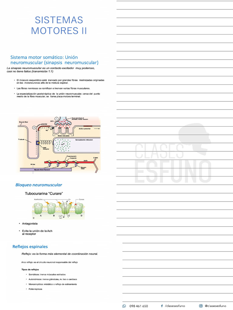 6 - Sistemas Motores (Parte 2) #clasesESFUNO | PDF