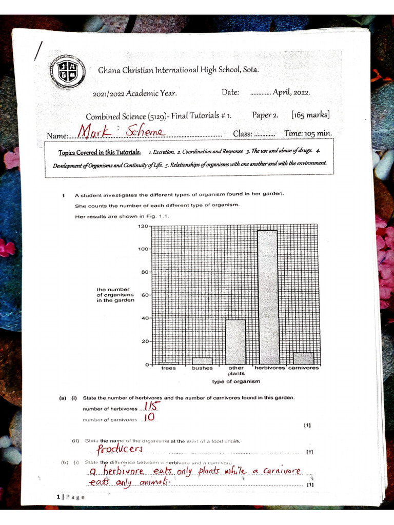 Mark Scheme - Final Tutorials #1 | PDF