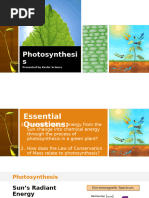 Photosynthesis Overview for Class 10 | PDF
