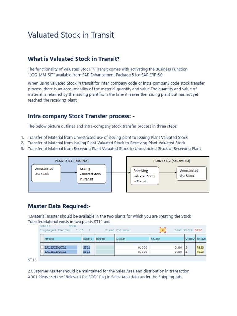 Valuated Stock in Transit Process Guide | PDF | Logistics | Business