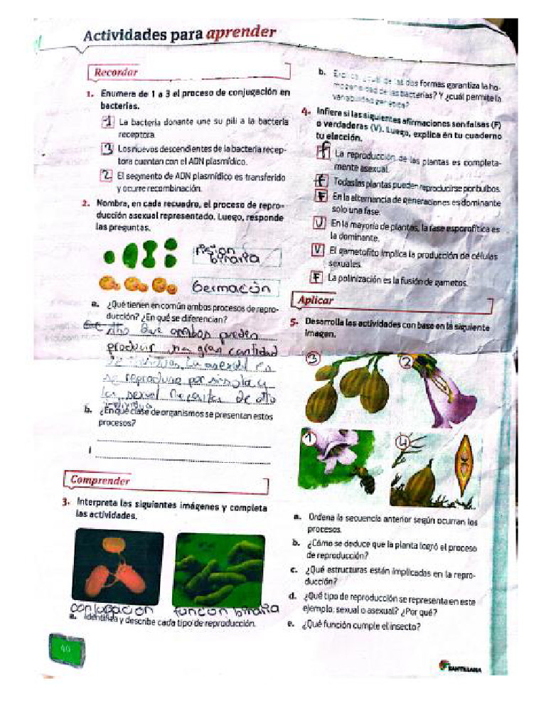 Taller de Biologia Brayan | PDF