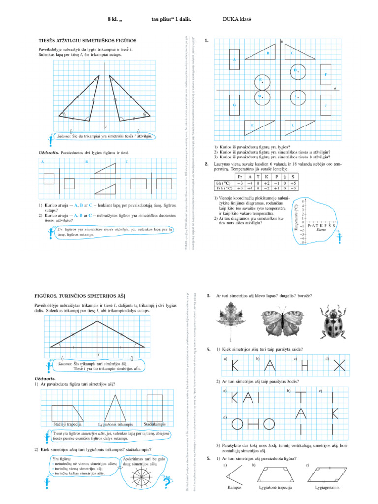 8kl_simetrija_teor | PDF