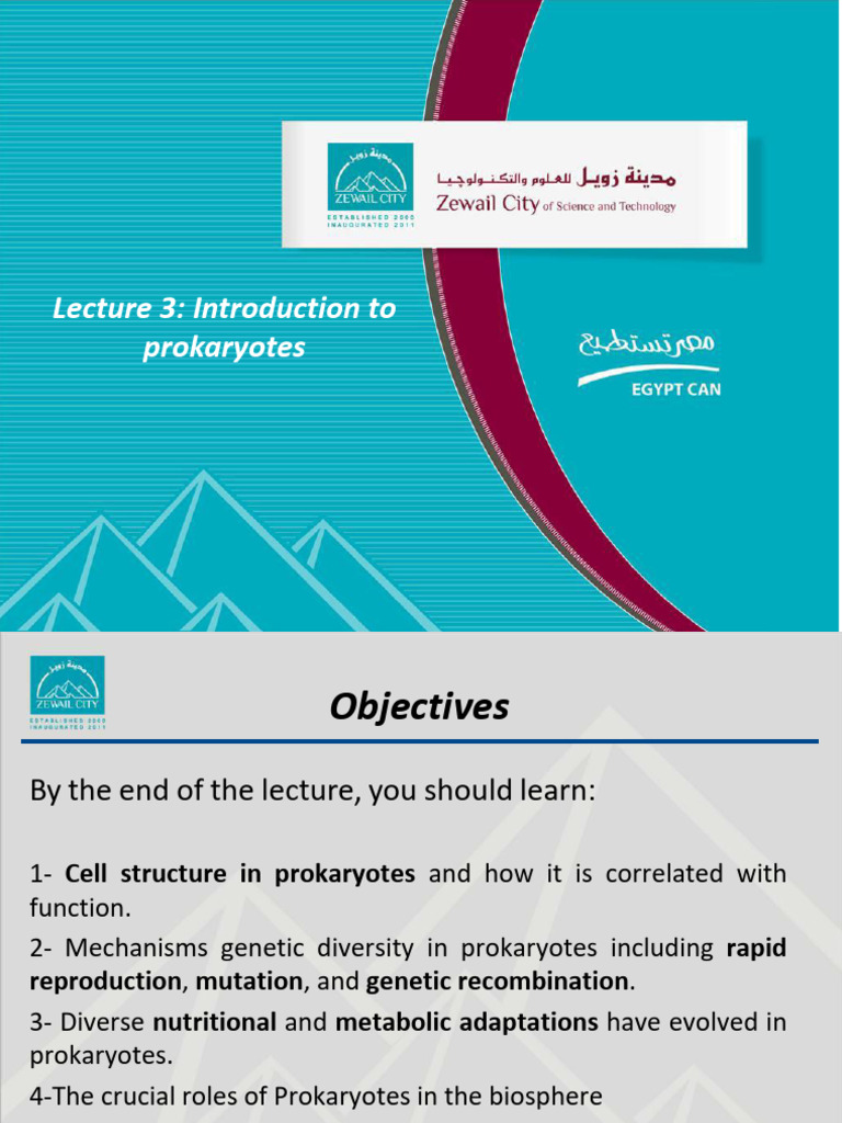 Lecture 3 Introduction To Prokaryotes | PDF | Bacteria | Cell (Biology)