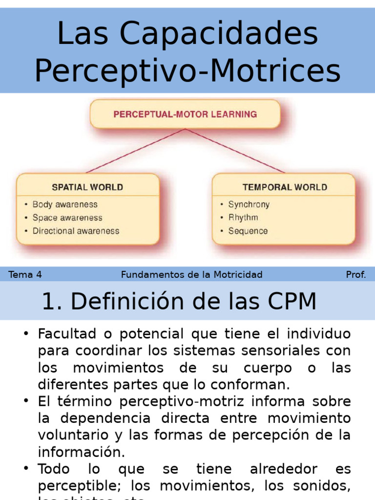 Tema 4 Las Capacidades Perceptivo-Motrices | PDF | Respiración | Handedness