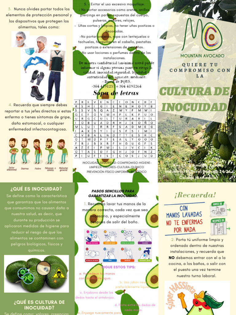 Folleto Cultura de Inocuidad-1 | PDF | Alimentos