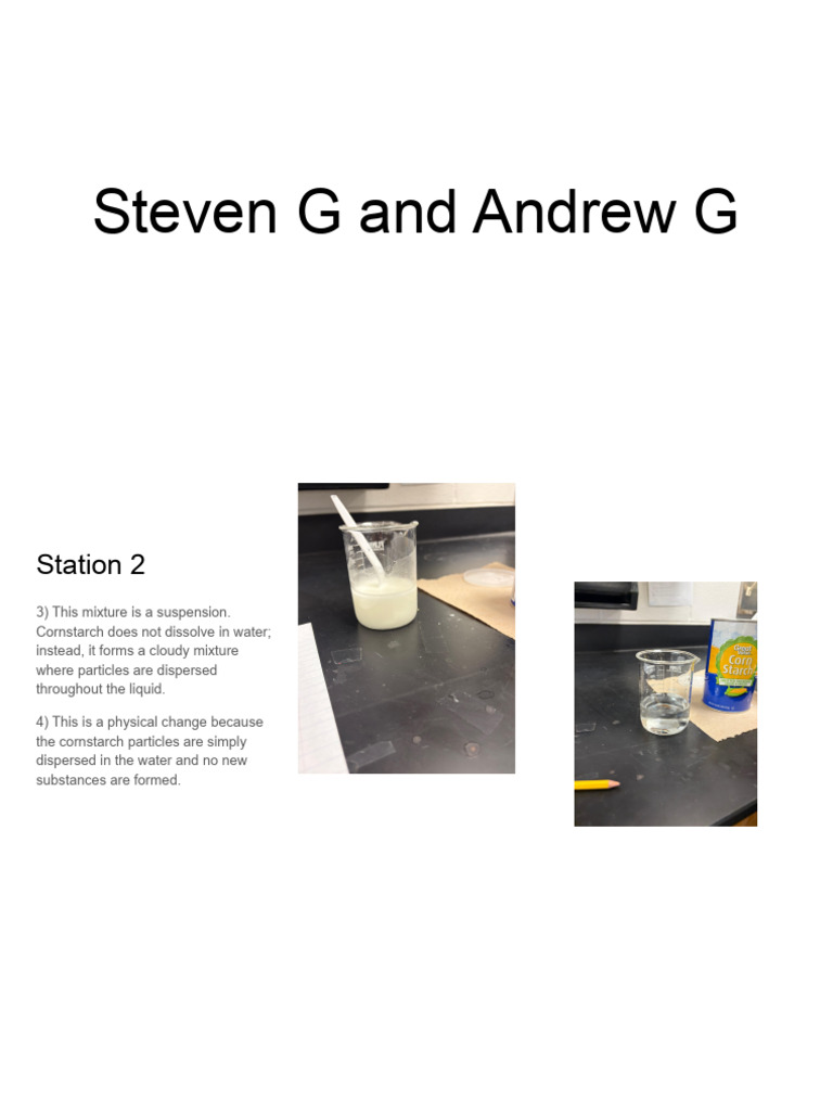 Corn Starch | PDF