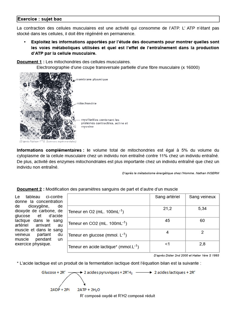 Exercice-Bac muscle-ATP Mart2006 Correction | PDF | Muscle | Mitochondrie