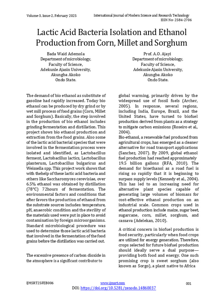 Lactic Acid Bacteria Isolation and Ethanol Production From Corn, Millet ...