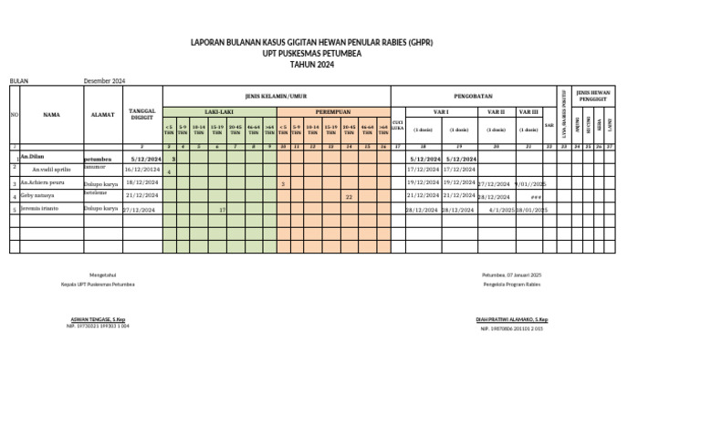 Laporan Rabies Bulan Desember 2024 PKM Petumbea | PDF