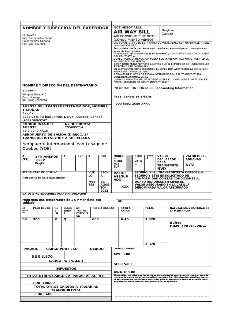 Air Waybill Awb | PDF