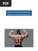 Anatomía de los Músculos Paravertebrales | PDF | Tejido suave ...