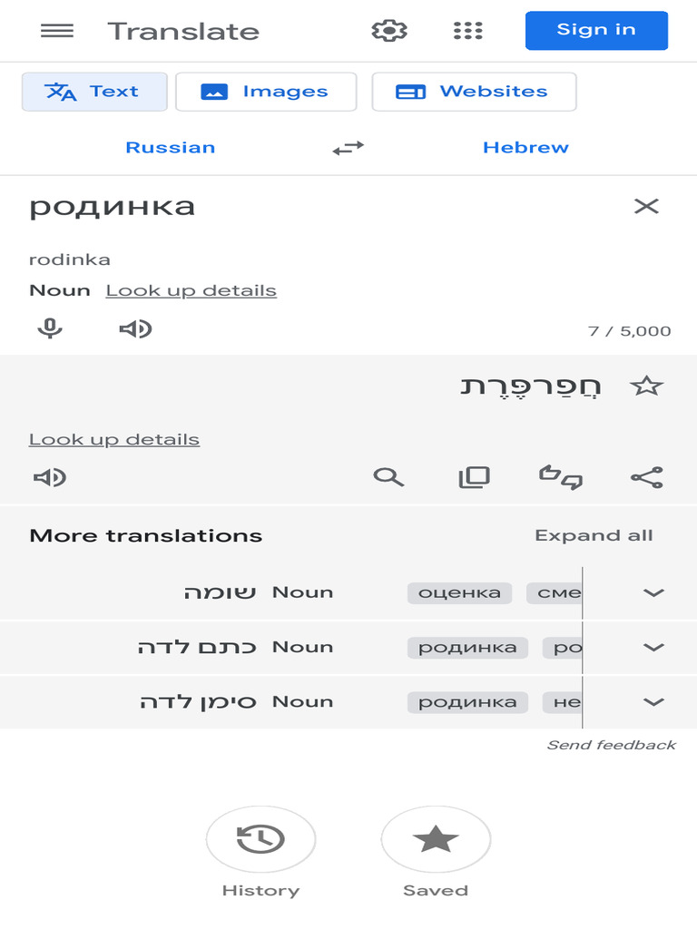Google Translate | PDF