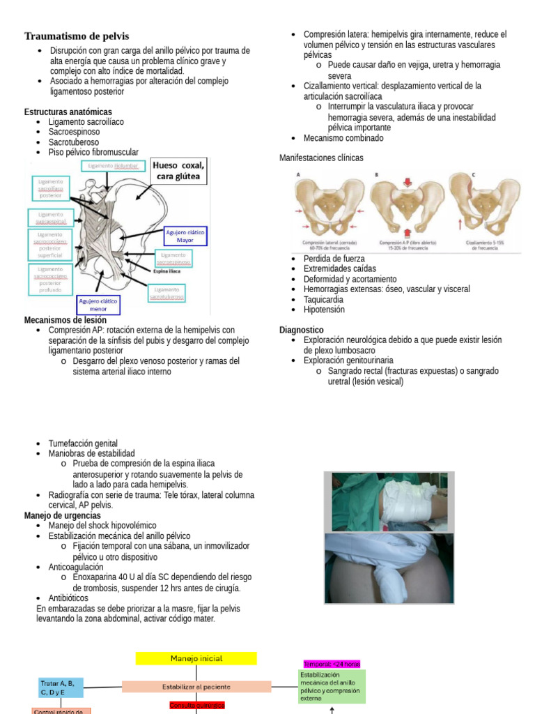Traumatismo de pelvis: diagnóstico y manejo | PDF | Pelvis ...