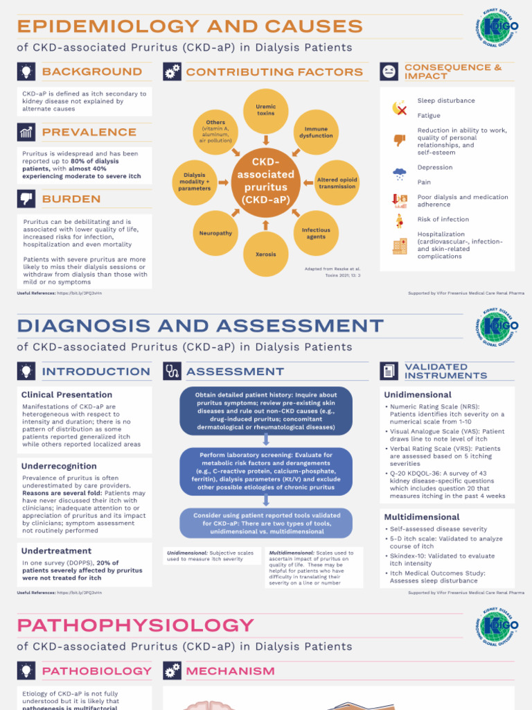 KDIGO Pruritus Infographic Set | PDF