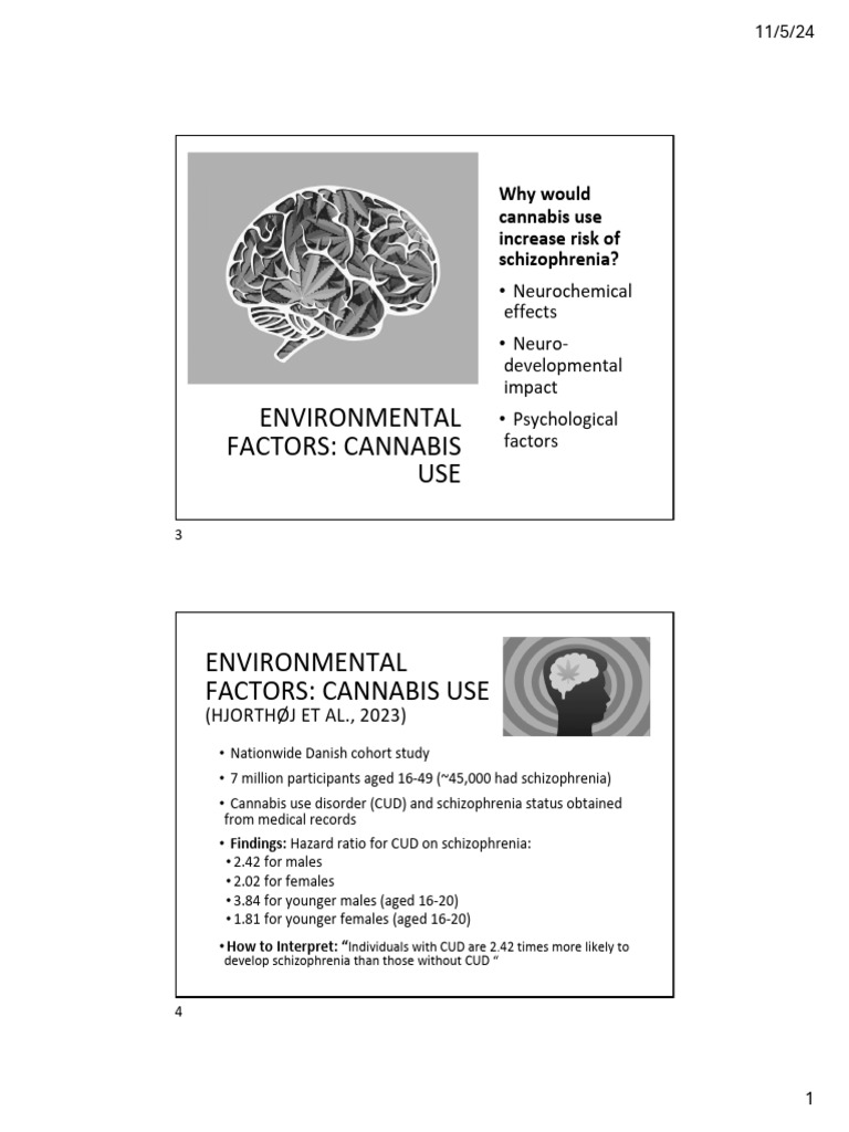 Class 16 Schizophrenia For Handouts | PDF | Schizophrenia | Psychosis